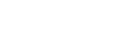 IESEG SCHOOL OF MANAGEMENT