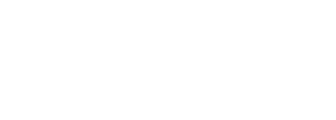 IESEG SCHOOL OF MANAGEMENT